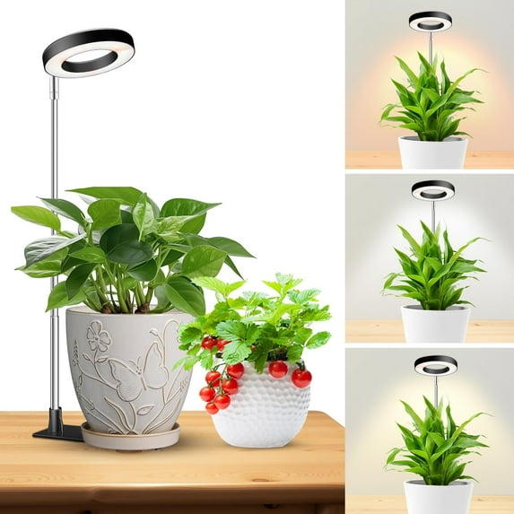 Grow Lights for Indoor Plants, Full Spectrum Halo Growing lamp with ...
