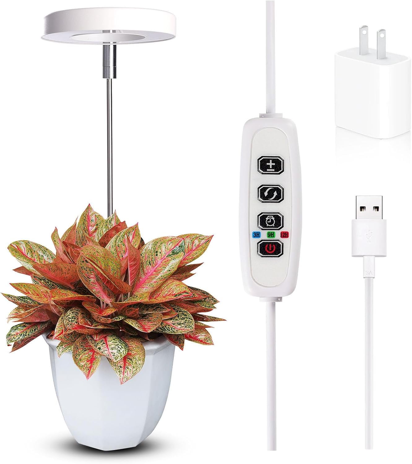 Grow Lights for Indoor Plants Small Potted - Full Spectrum, Auto 3/9 ...