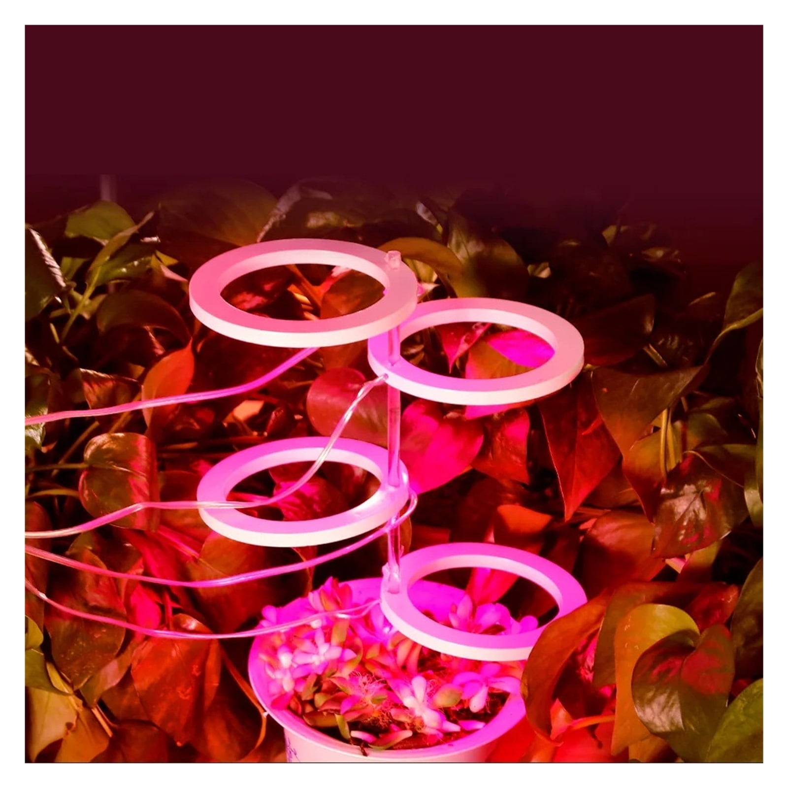 Grow Lights, LED Phytolamp Indoor Grow Lights Full Spectrum Hydroponics ...