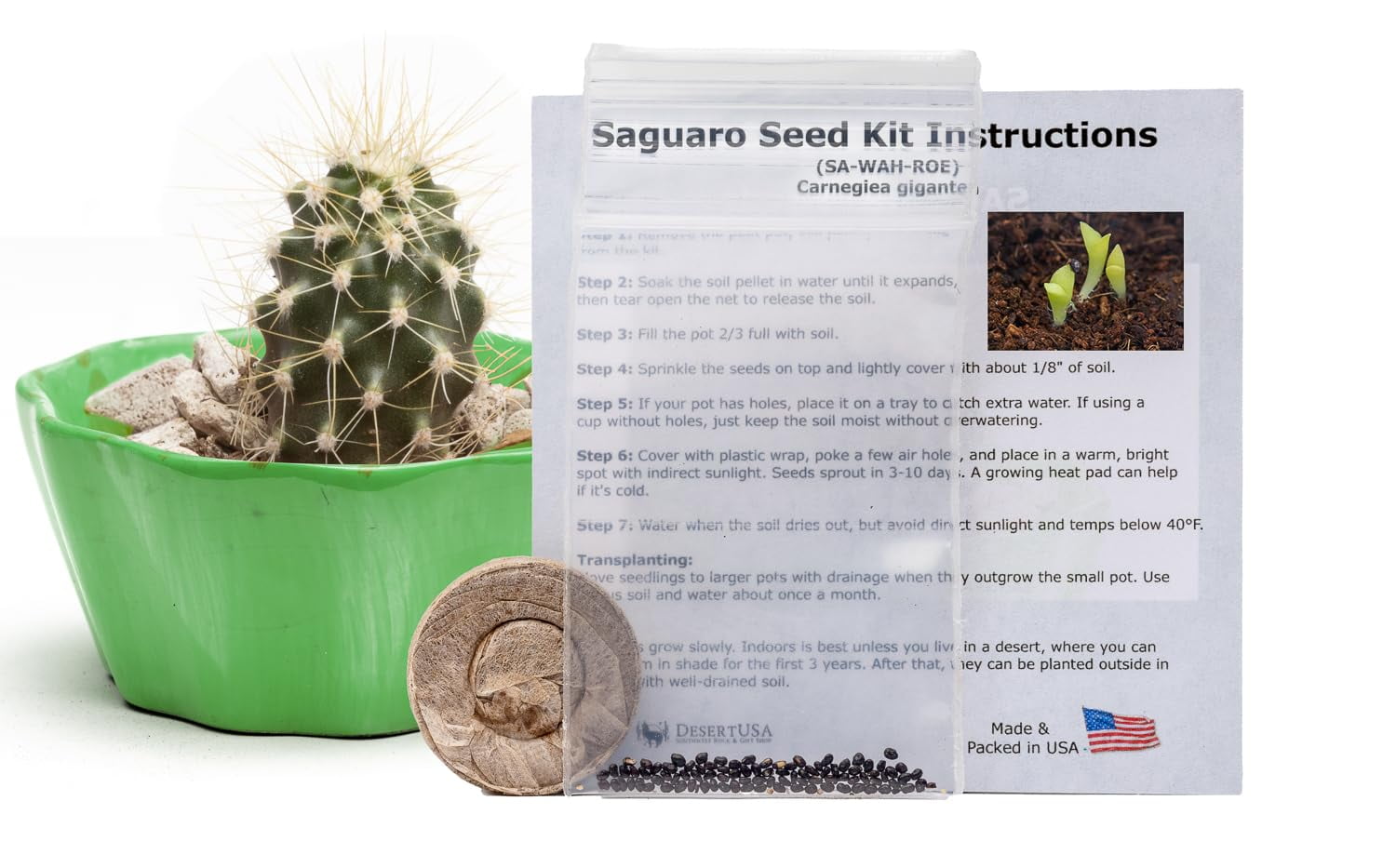 Grow Your Own Saguaro Cactus Kit MVR1 (Carnegiea gigantea) - Cactus ...