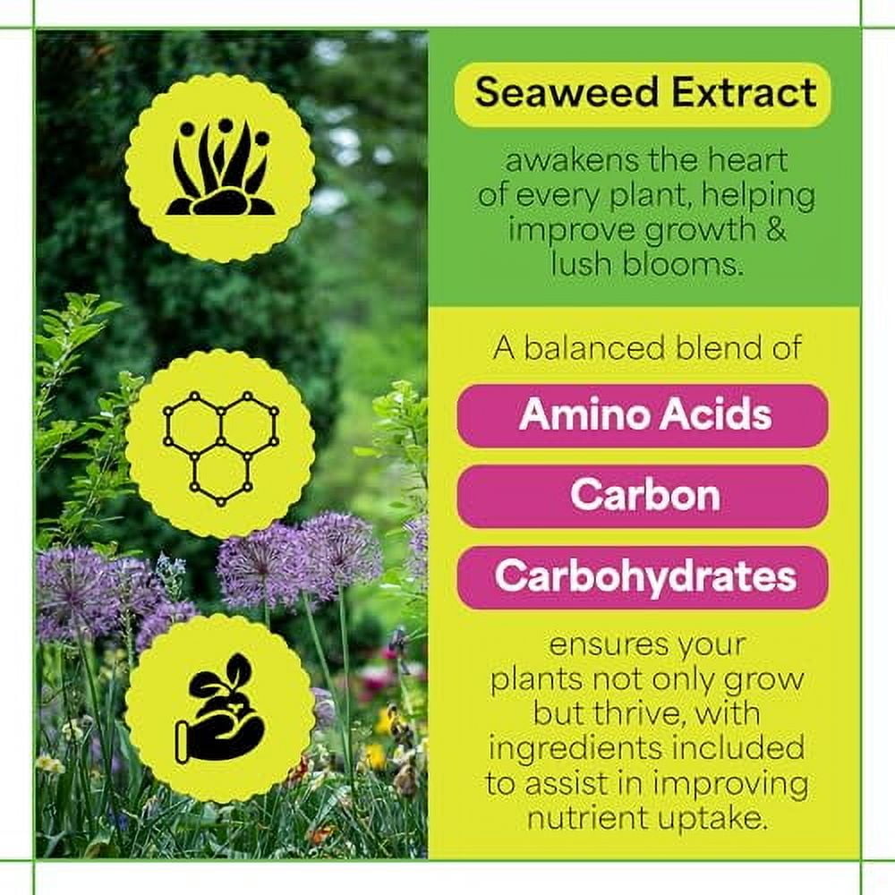 Grow More Sea Grow Kelp Fertilizer - 25lbs of 16-16-16 Water-Soluble ...