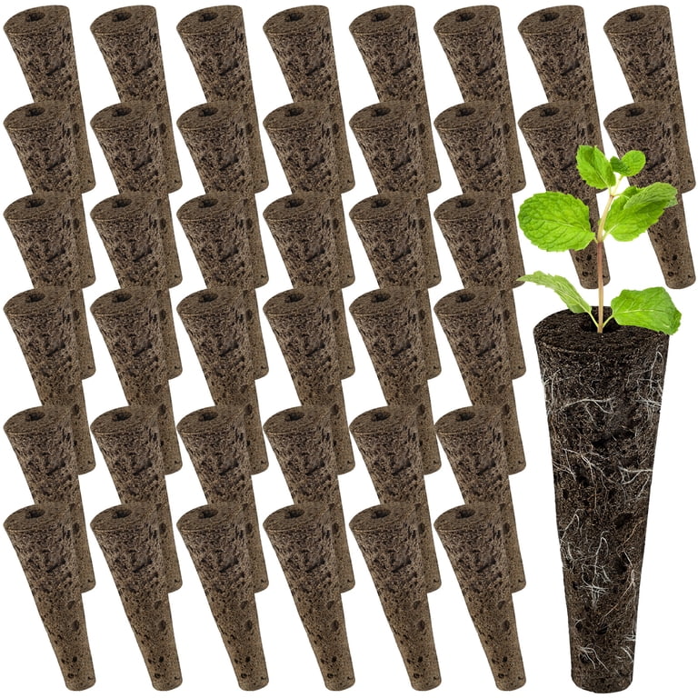 Hydroponics Germination Seeds List Understanding The Role Of Nutrients