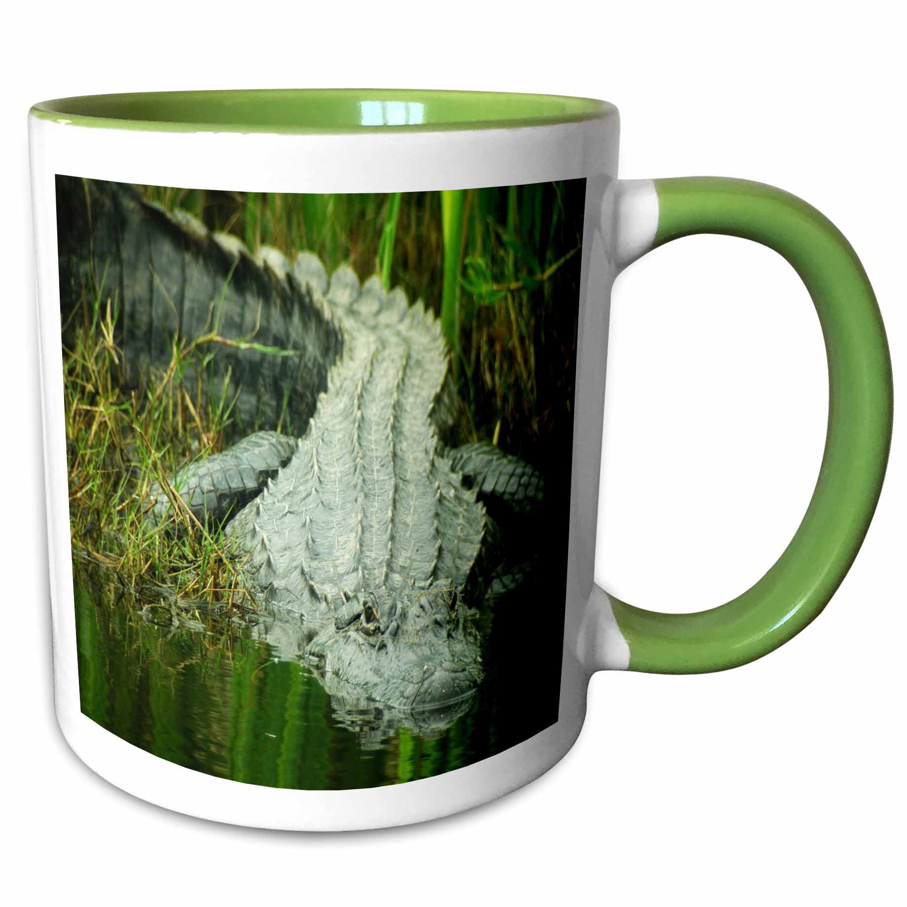 3drose, Grow Them Big Here in Florida an Alligator, 15oz Two-tone Green ...