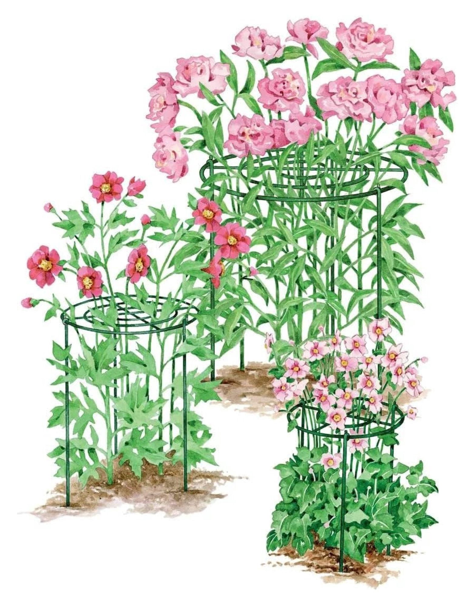 Grow Through Plant Support | Sturdy Metal Plants Support Frame For ...