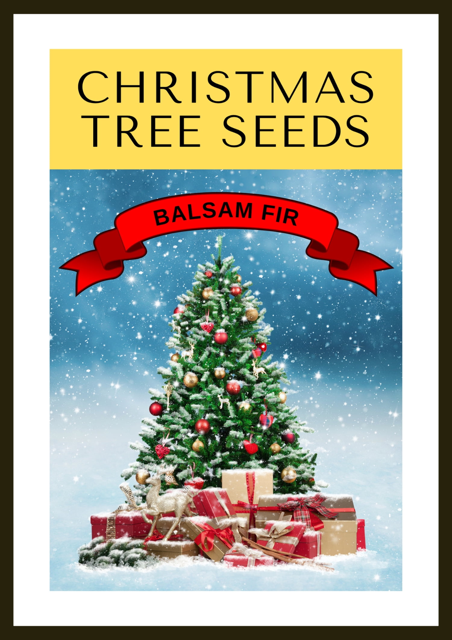 Grow Your Own CHRISTMAS TREE - Balsam Fir ( Abies Balsamea ) Gift ...