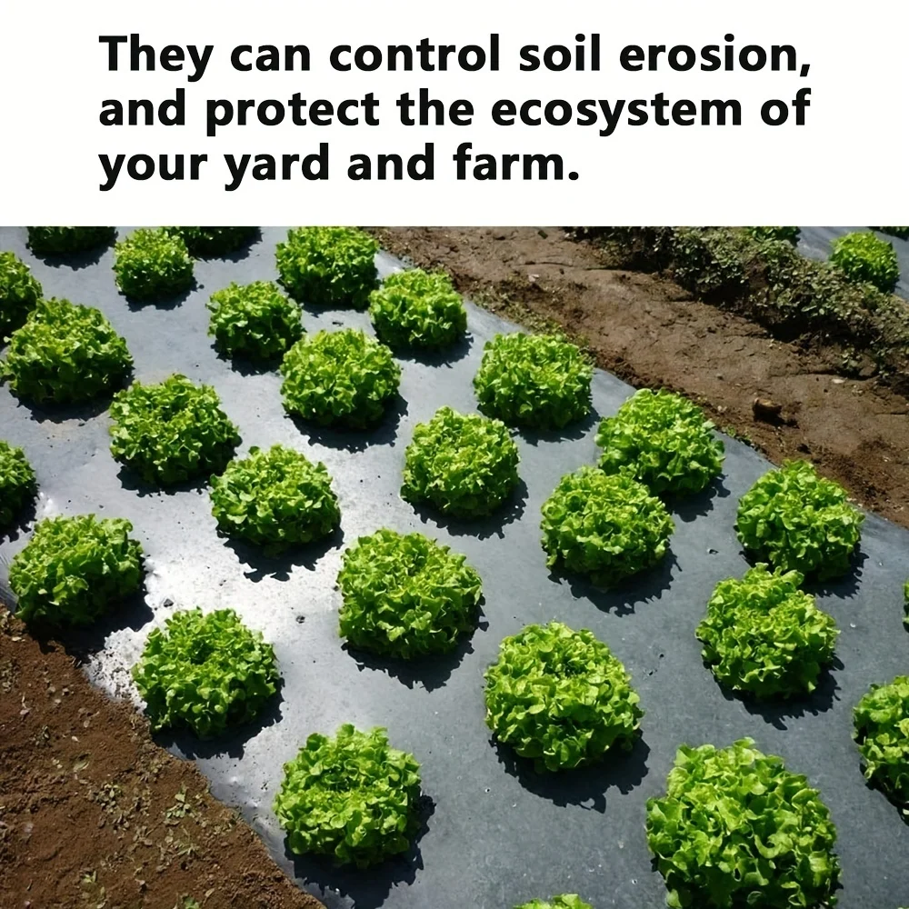 Grow Your Vegetables with Our High-Quality Black Plastic MulchFilm ...