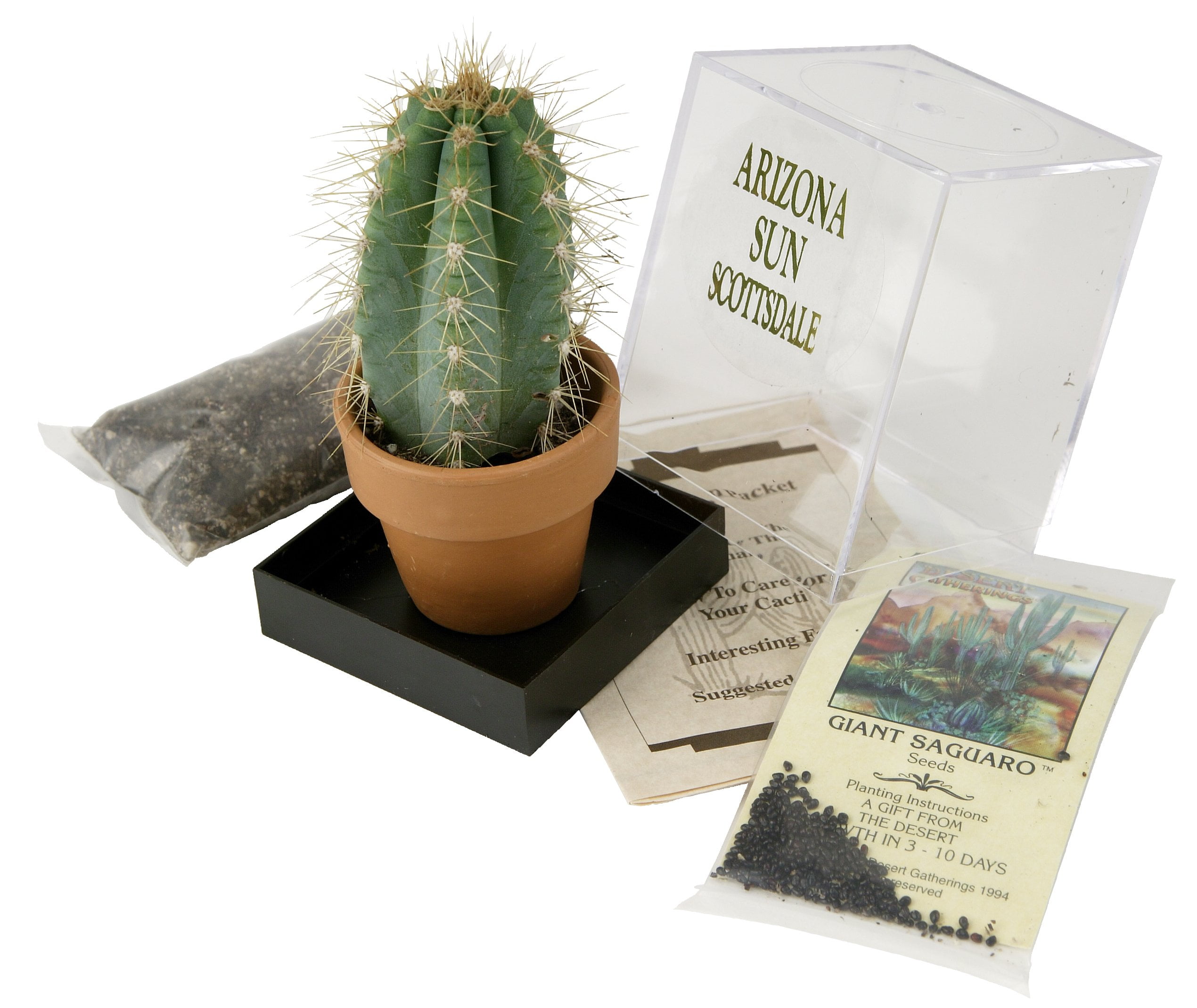 Grow Your own Saguaro Cactus Kit AIS1 - Incubator - Cactus Seeds ...