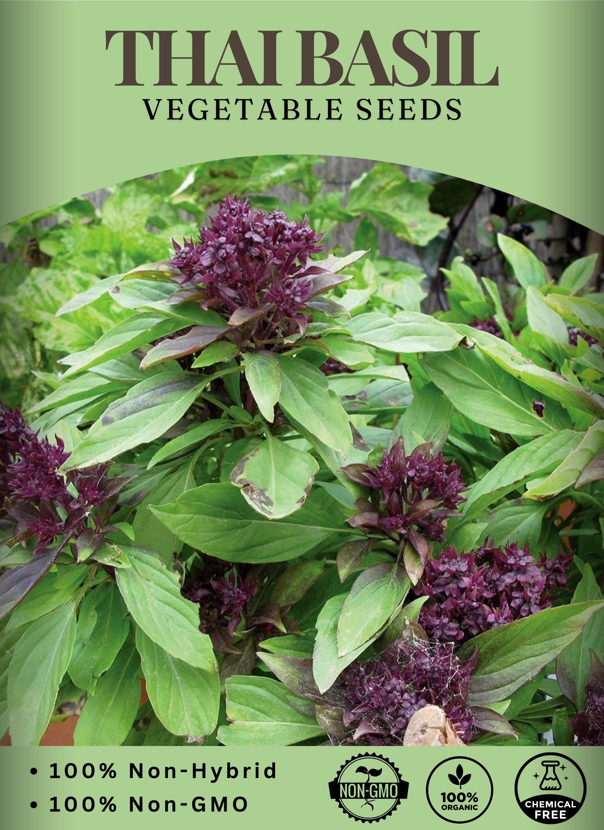 Thai Basil Herb (500 Unit) | Non-GMO | Organic | Sustainable Unit ...