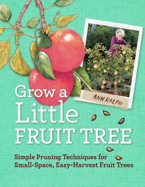 Grow a Little Fruit Tree - Paperback - Walmart.com
