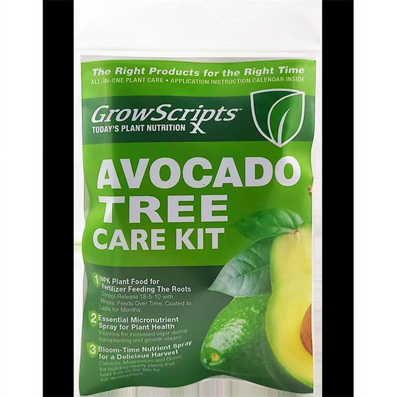 GrowScripts Patio Avocado Tree Container Kit - Walmart.com