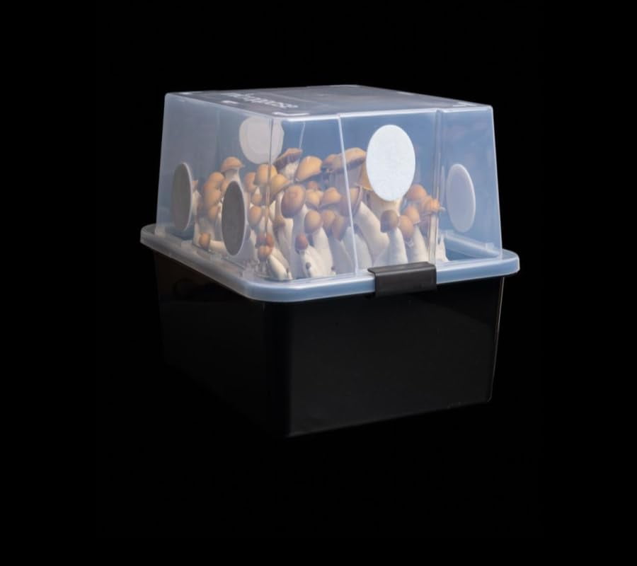 Grower's Select 28Q Cube Mushroom Monotub Fruiting Chambers with Filter ...