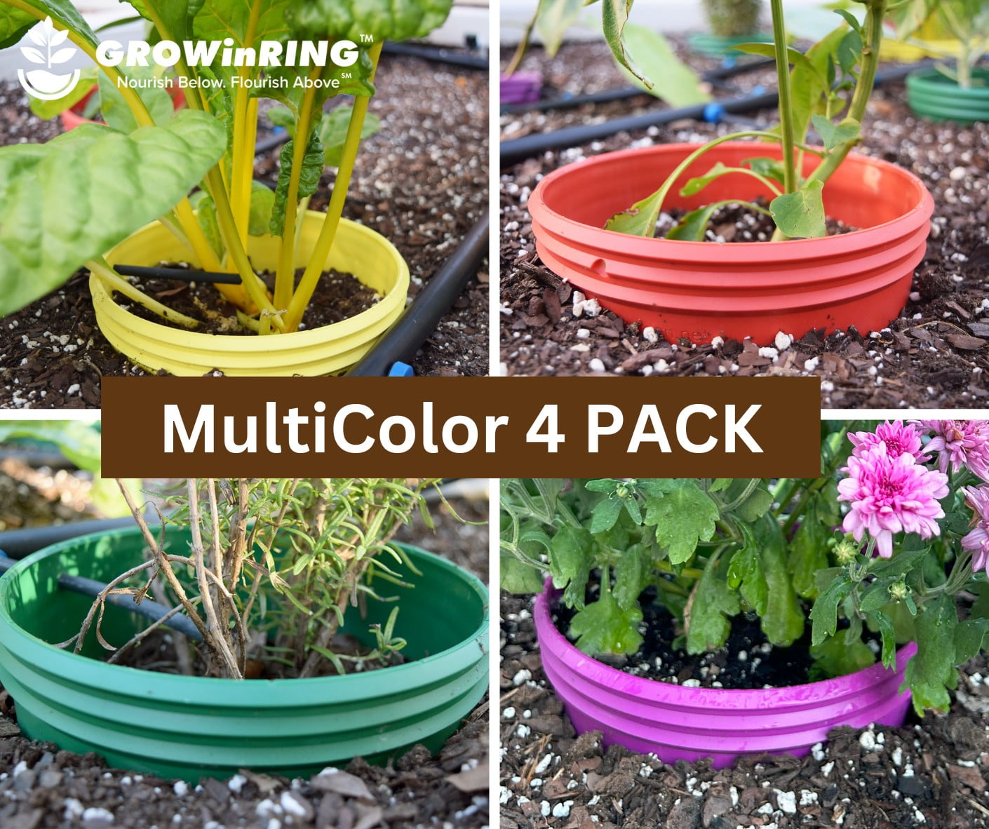 Rooted Promise Plant Grow Ring Round 7 inch Watering Rings for Veggies ...