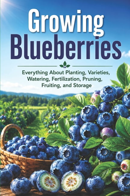 Growing Blueberries: Everything About Planting, Varieties, Watering ...