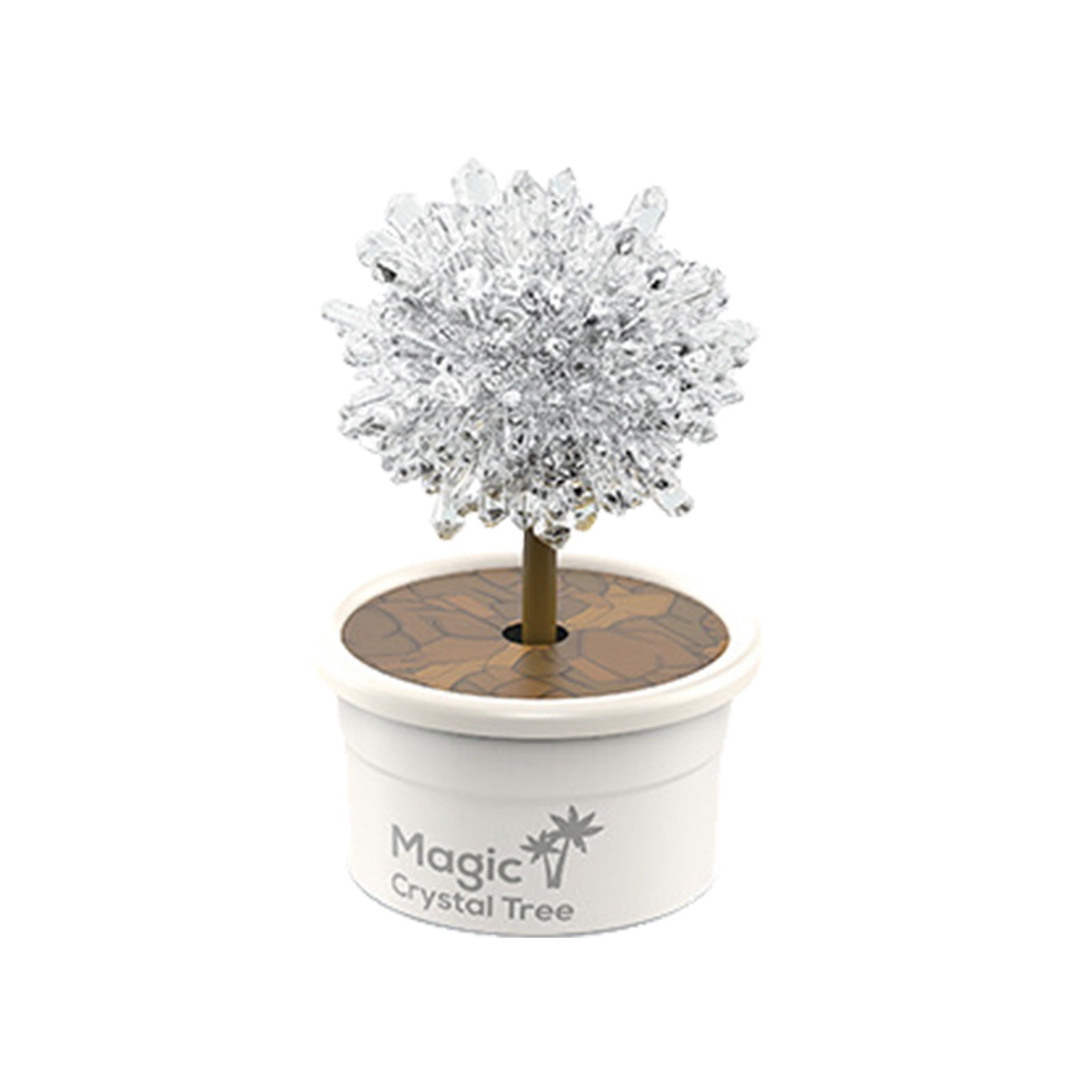 Growing Kit for Kids Science Kits for Kids Grow Science Experiments ...