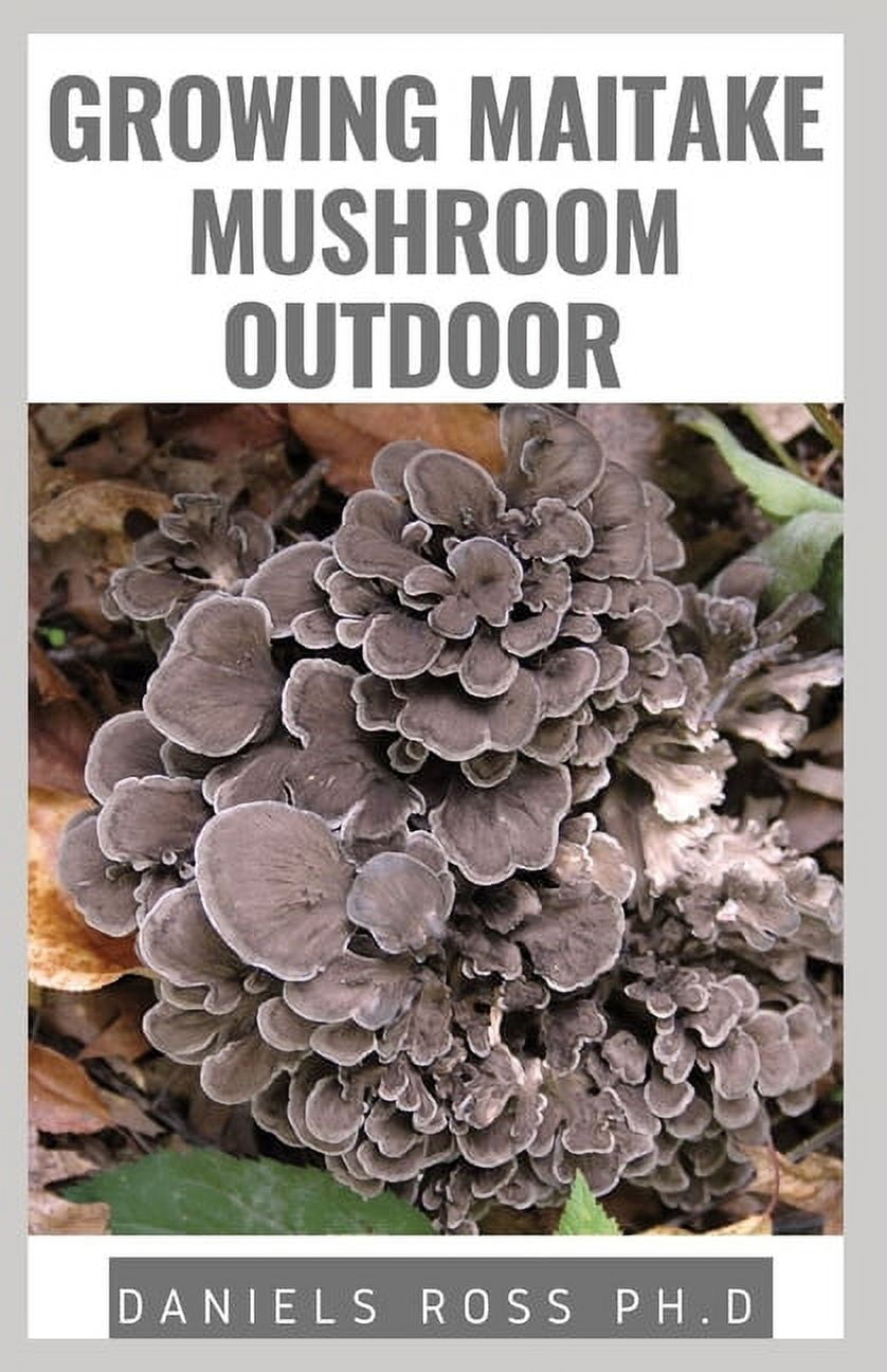 Growing Maitake Mushroom Outdoor: New Techniques of Growing Maitake ...