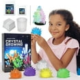 Growing Science Experimental Kit With A Magical Christmas Tree Easy DIY ...