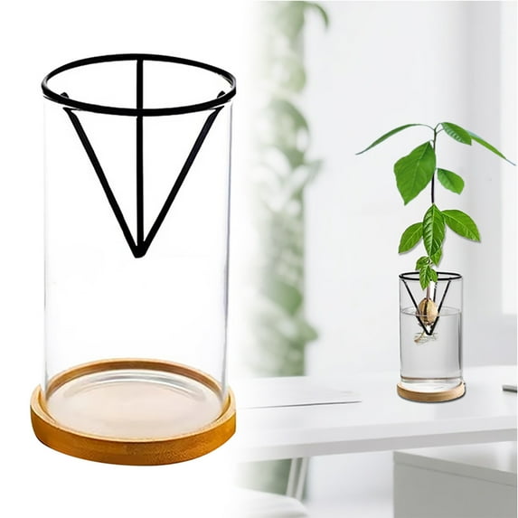 Growing Set Glass Vase With Wooden Stand Propagation Set | Elegant 3 ...
