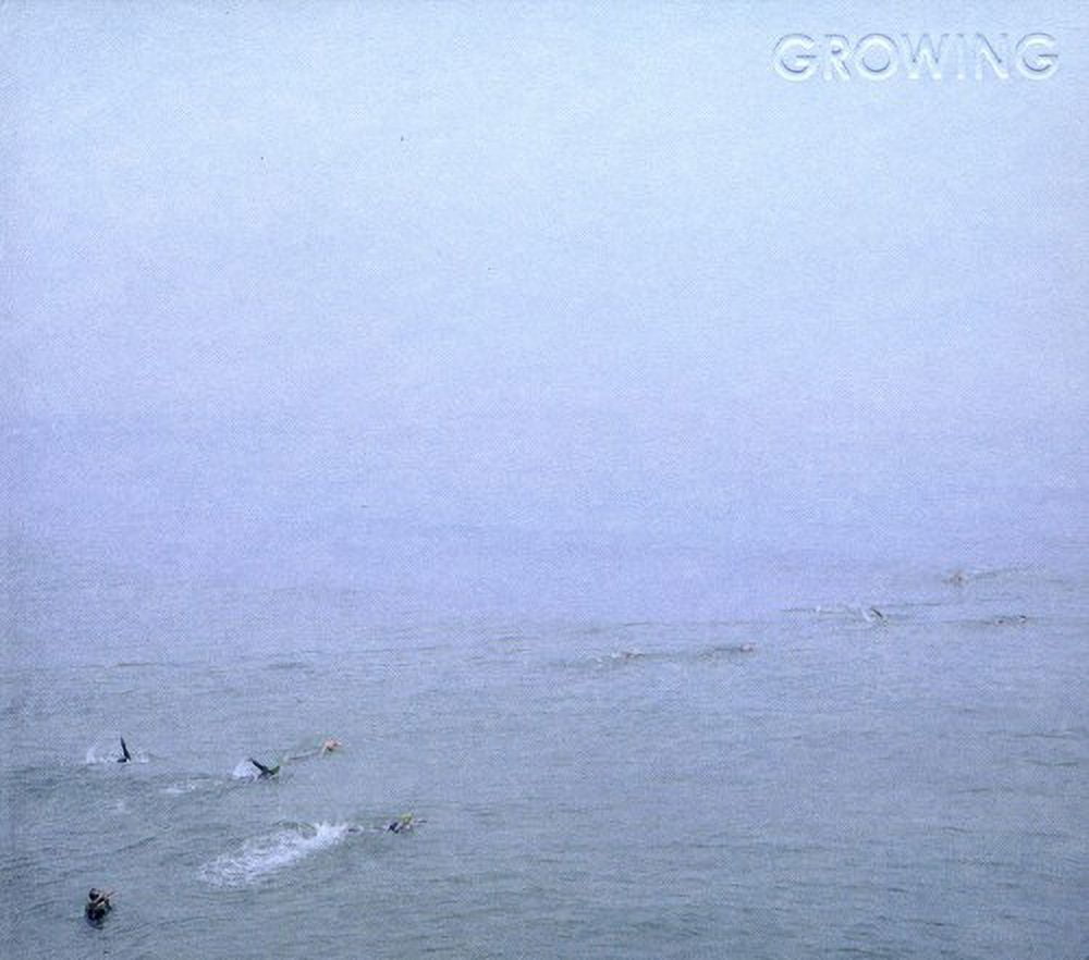 Growing - Sky's Run Into the Sea - Alternative - CD - Walmart.com