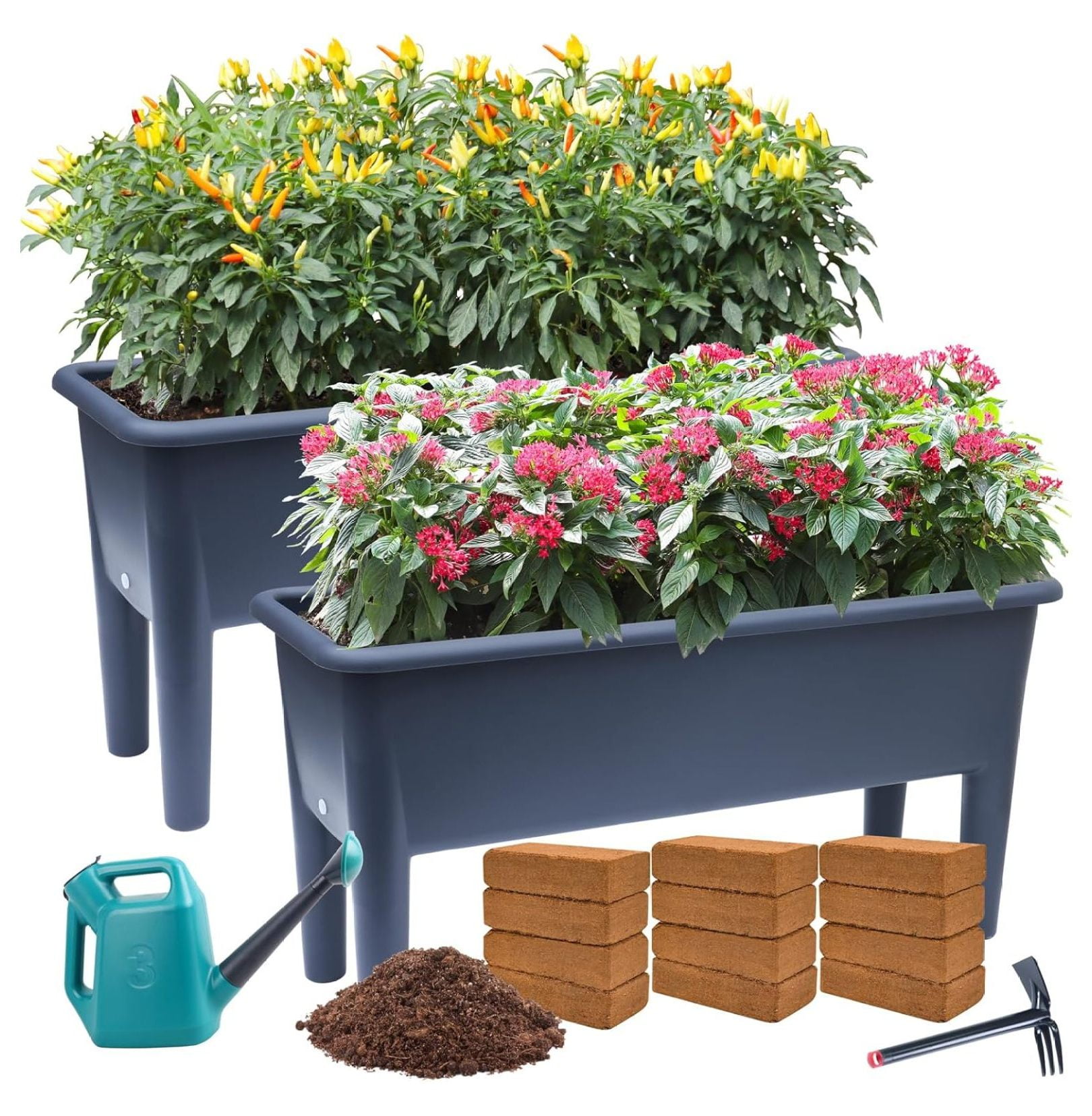 Growing Vegetable Basin with Coconut Bricks 17 Lbs, 2 Packs 31.5 Inch ...