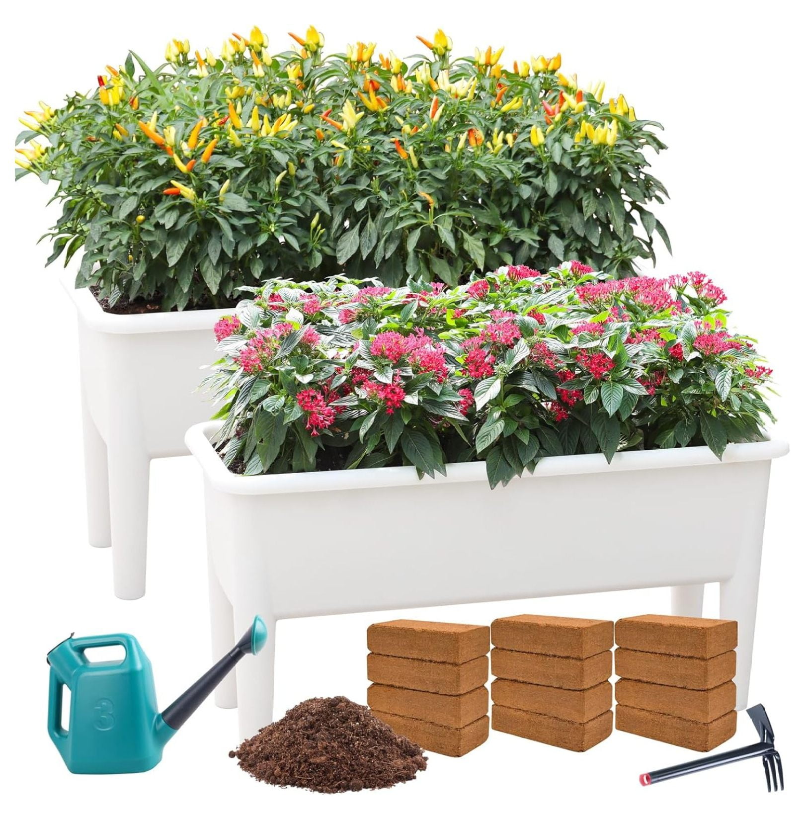 Growing Vegetable Basin with Coconut Bricks 17 Lbs, 2 Packs 31.5 Inch ...