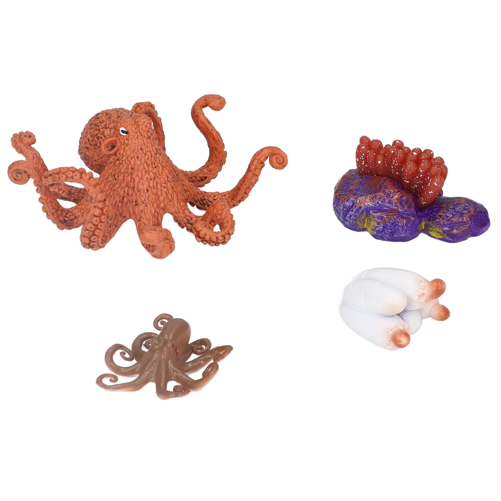 Growth Cycle Model Vinyl Material Safe Odorless Vivid Real Octopus ...