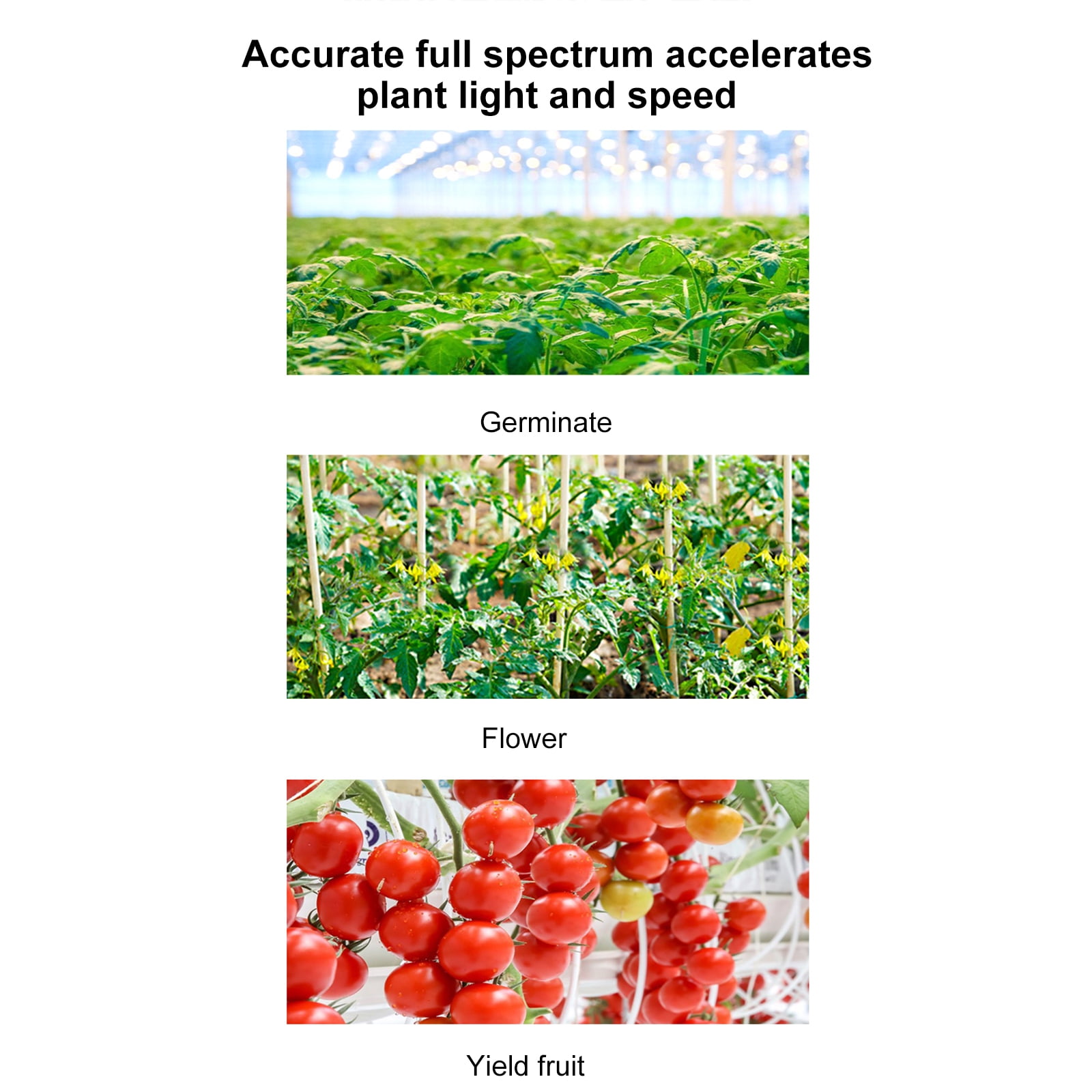 Growth Lamp,6 Dimmable 3/6/12h 6 Plant Supplement Led Bloom With Lamp ...