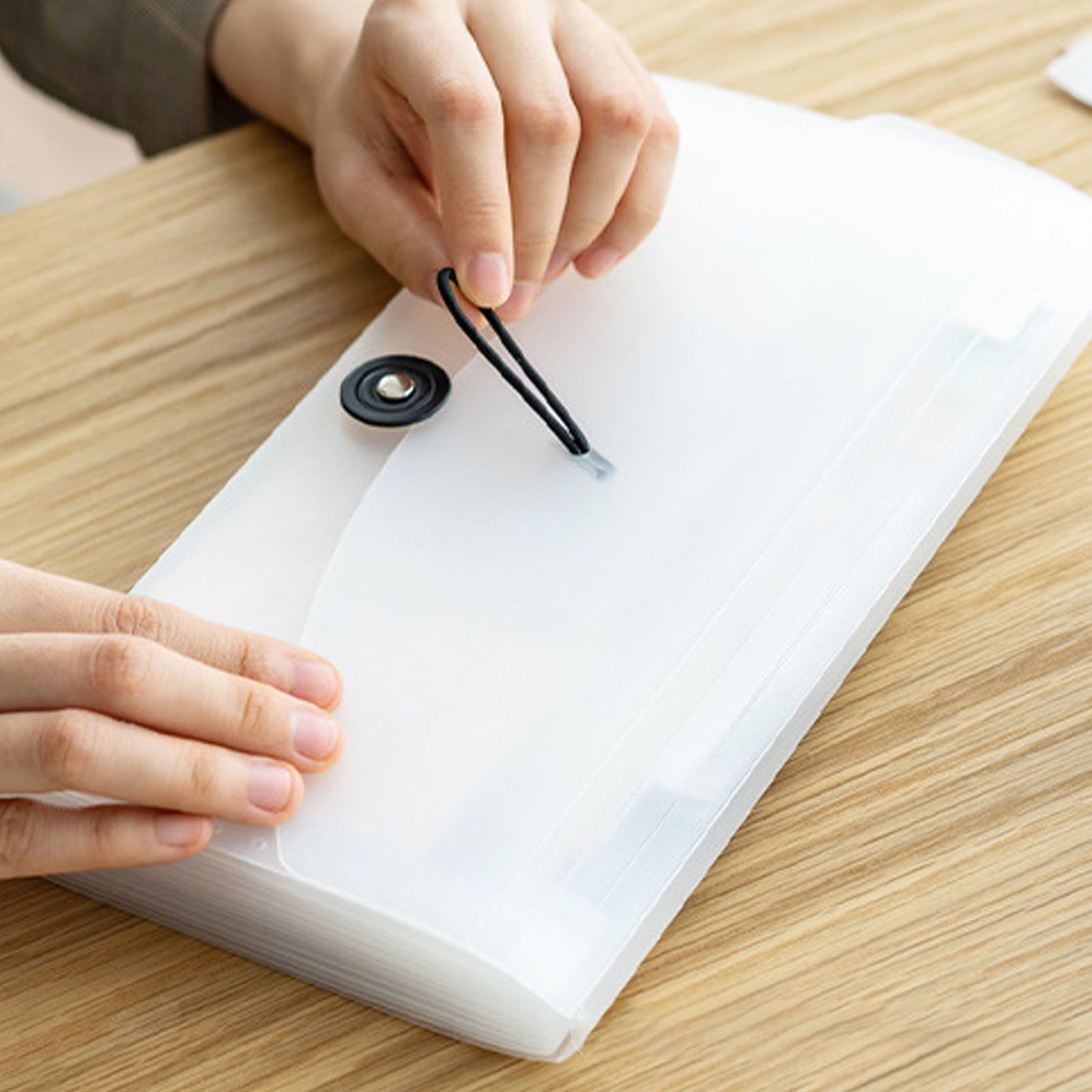 Grrvtrz Folder,Storage Categorizable Multifunctional Labeled File ...