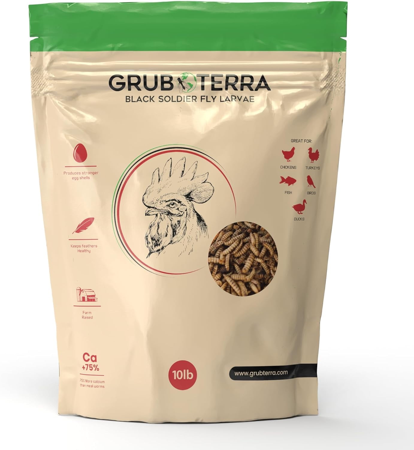 Grub Terra Premium Dried Black Soldier Fly Larvae - High Protein ...