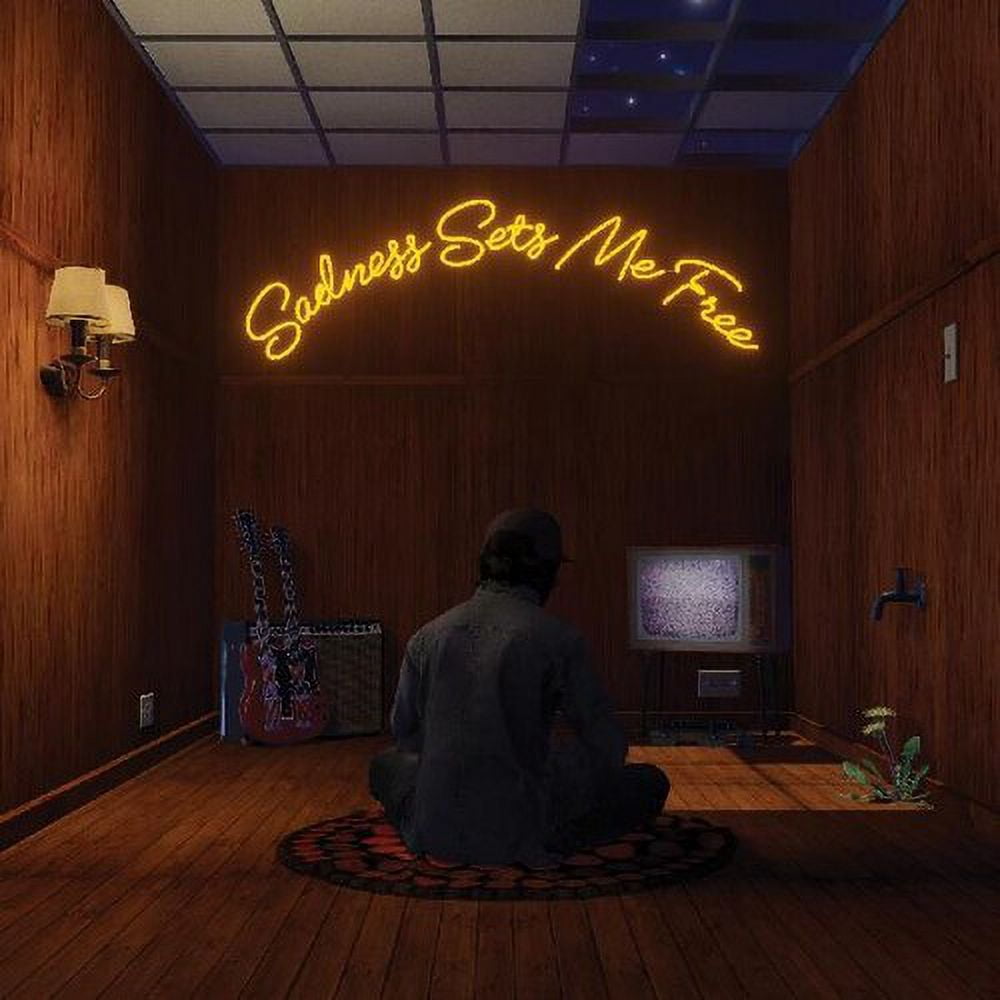 Gruff Rhys - Sadness Sets Me Free - Music & Performance - CD - Walmart.com