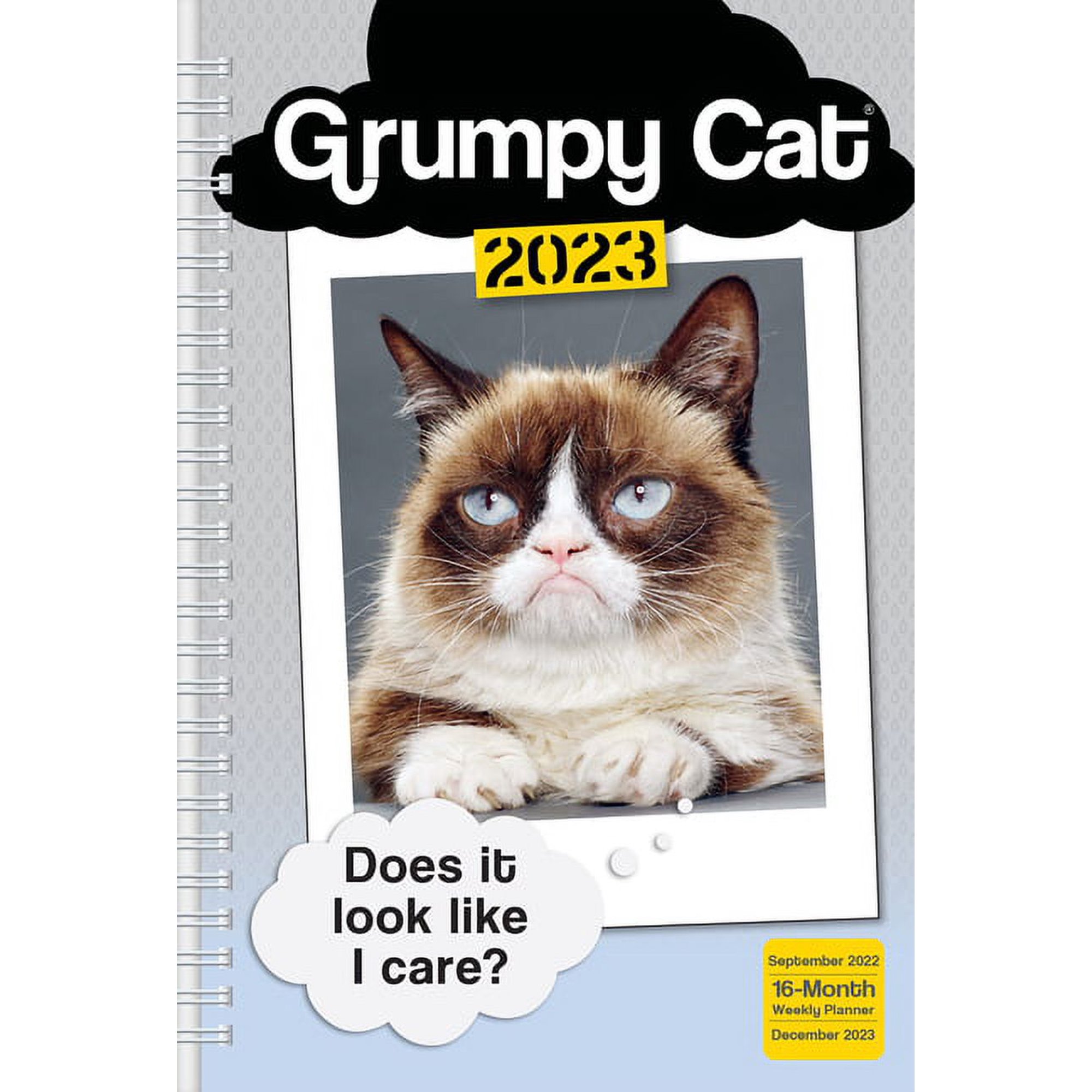 Grumpy Cat Engagement