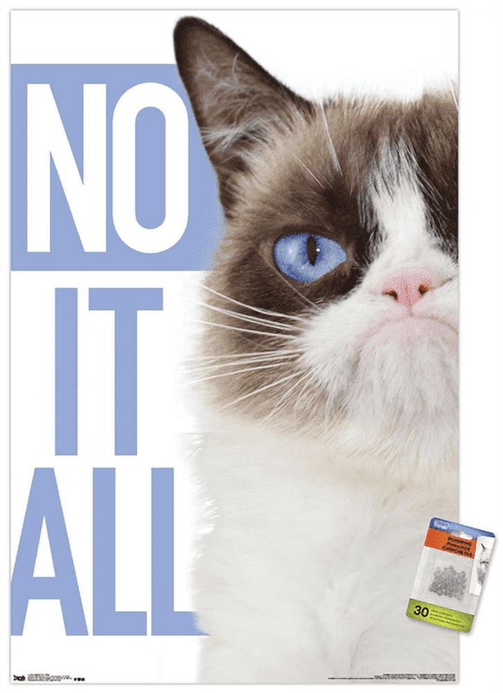 Grumpy Cat - Blue Wall Poster with Push Pins, 22.375" x 34" - Walmart.com