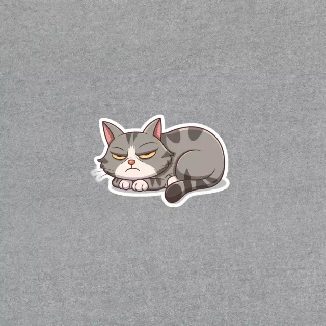 Grumpy Cat Cartoon Sticker - Cute Frustrated Gray Tabby Kitty ...
