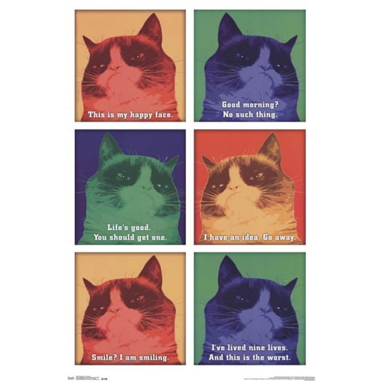 Grumpy Cat Face No Meet The New Grumpy Cat That Looks Even Angrier