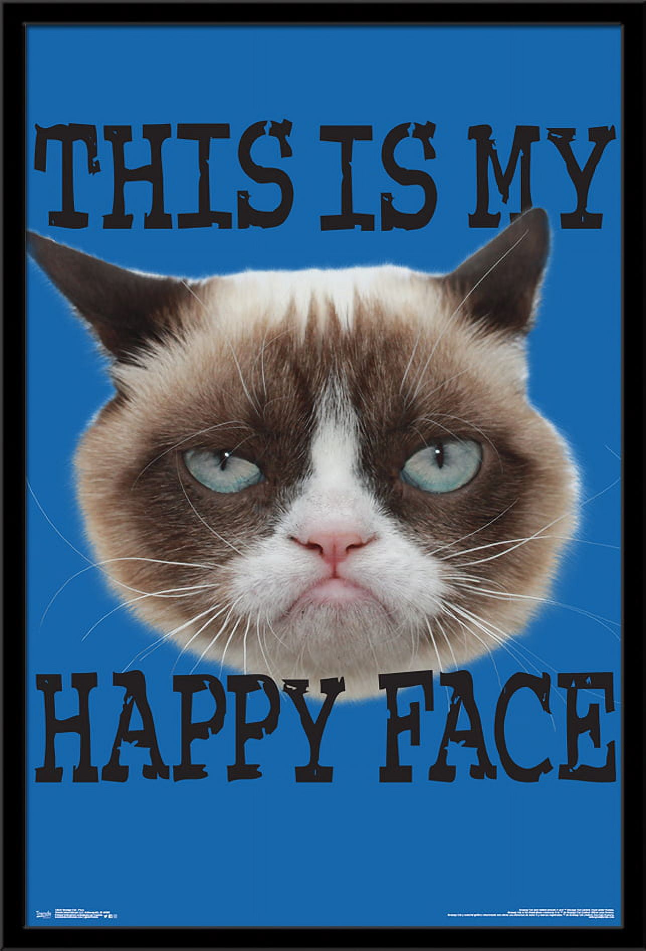 Grumpy Cat - Face Wall Poster, 22.375" x 34", Framed - Walmart.com