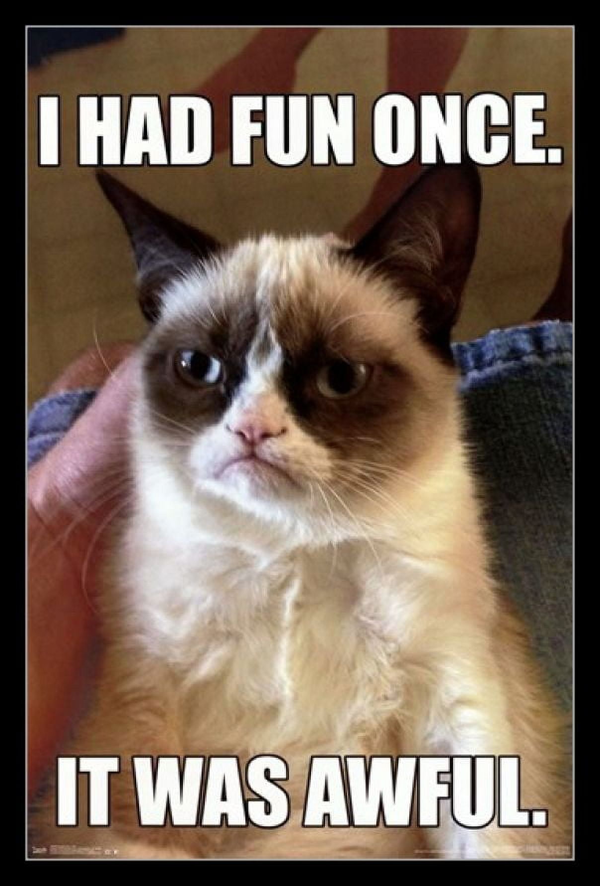Grumpy Cat - Fun Meme Laminated & Framed Poster Print (22 x 34 ...