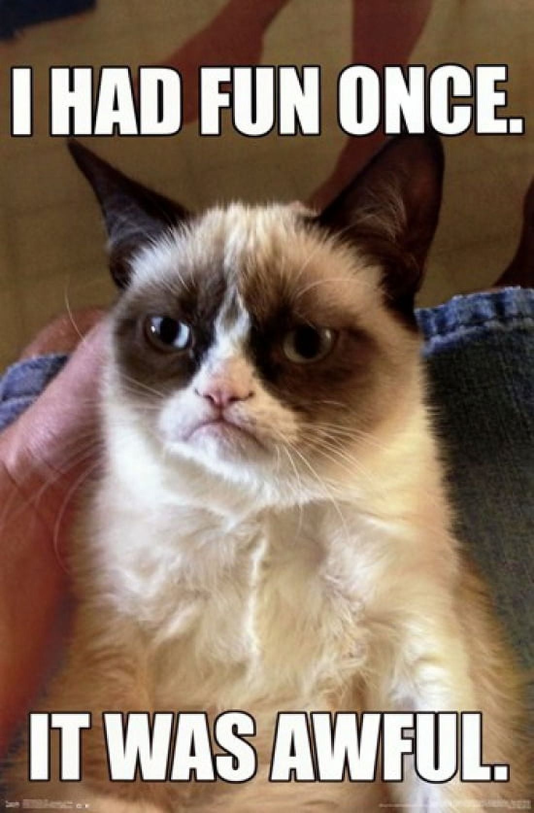 Grumpy Cat - Fun Meme Poster Print (22 x 34) - Walmart.com