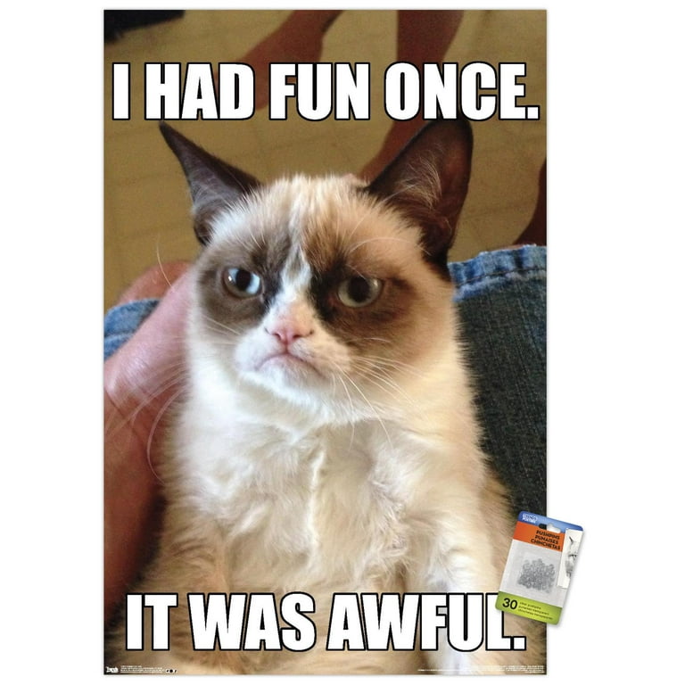 Grumpy Cat Office Meme