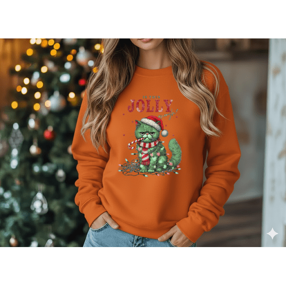 Grumpy Cat Funny Pet Lover Holiday Cheer Humor Sweatshirt, up to size ...