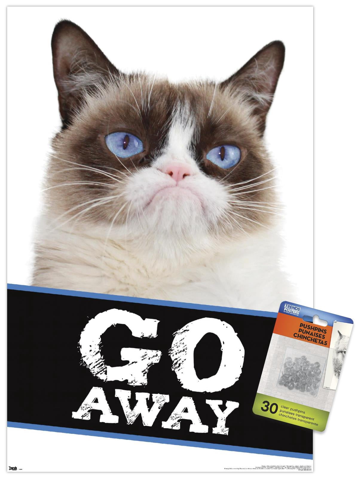 Grumpy Cat - Go Away Wall Poster with Push Pins, 14.725" x 22.375 ...