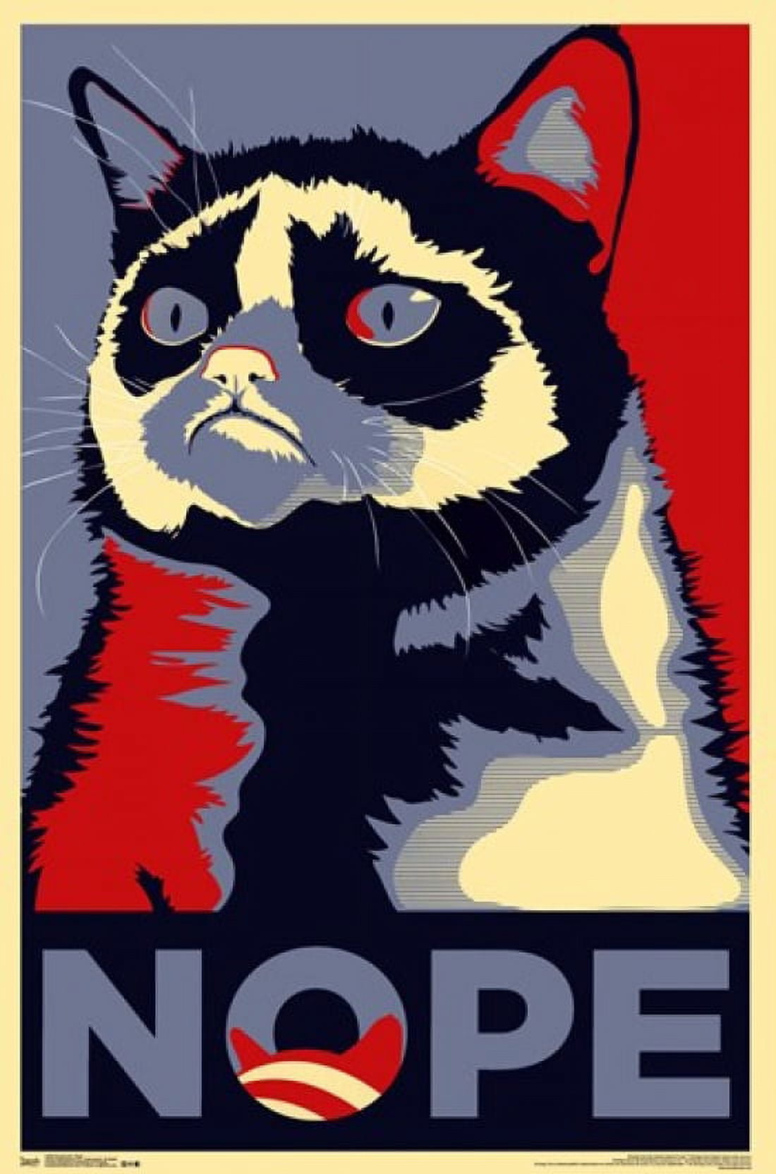 Grumpy Cat - Nope Laminated Poster Print (24 x 36) - Walmart.com