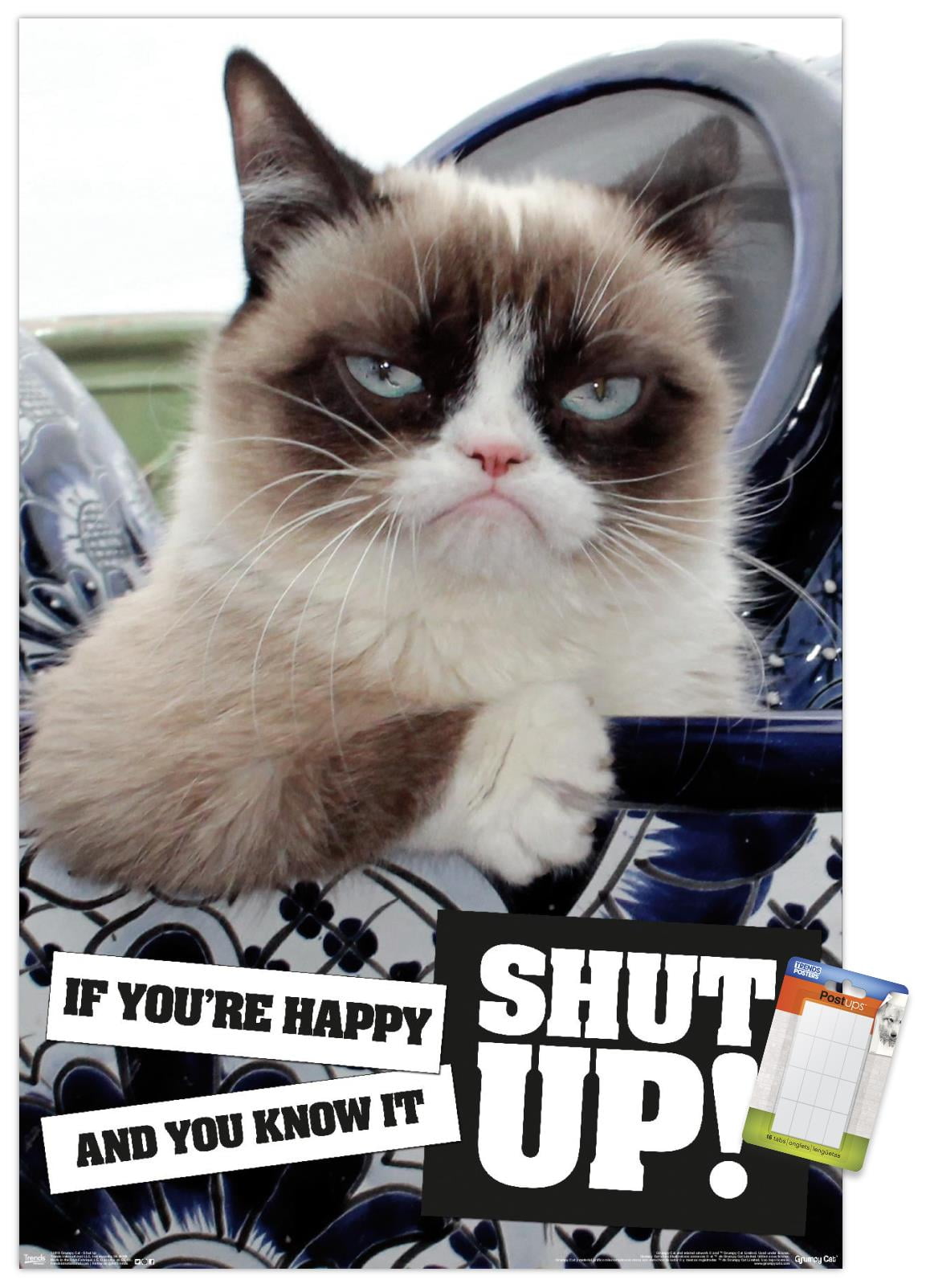 Grumpy Cat - Shut Up Wall Poster, 22.375" x 34" - Walmart.com