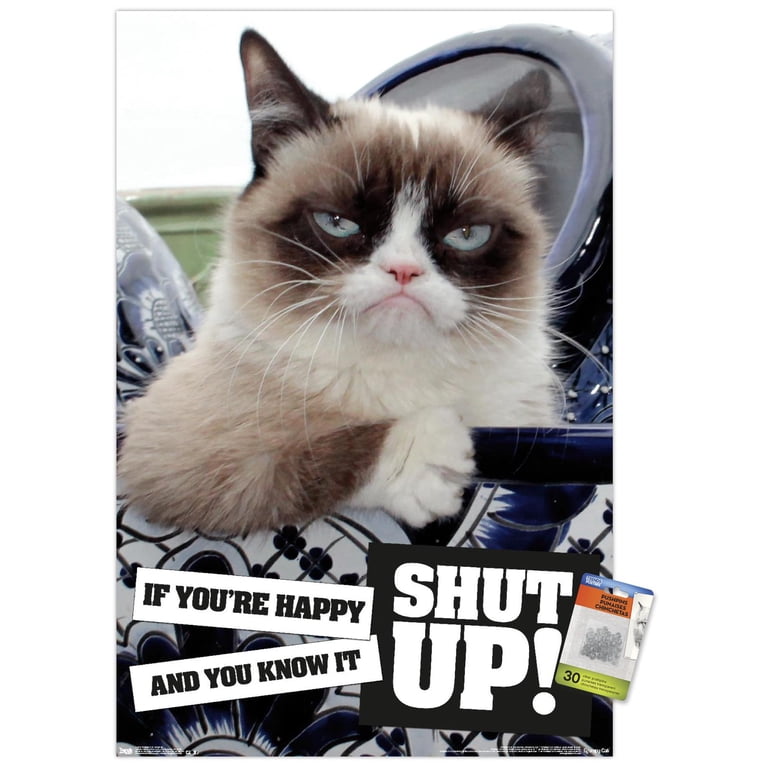 Printable Grumpy Cat Memes The World's Grumpiest Cat! 40+ Funniest