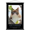 Grumpy Cat - Shut Up Wall Poster, 14.725" x 22.375", Framed - Walmart.com