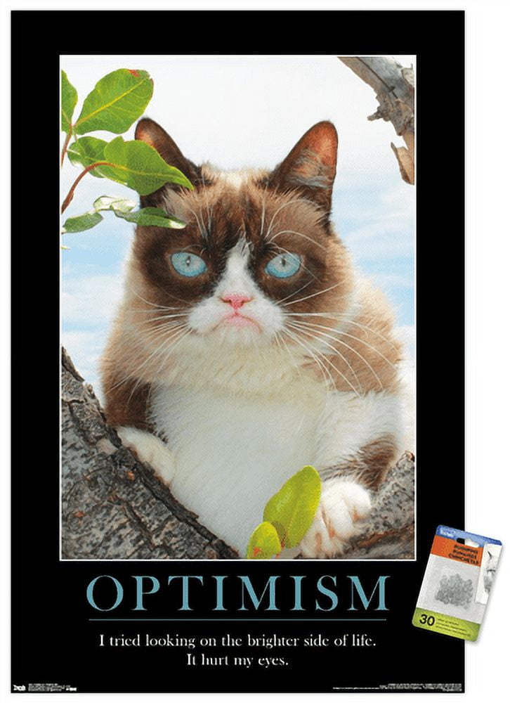 Pin Grumpy Cat Meme Build A To Do List App In 10 Minutes 📝⏱