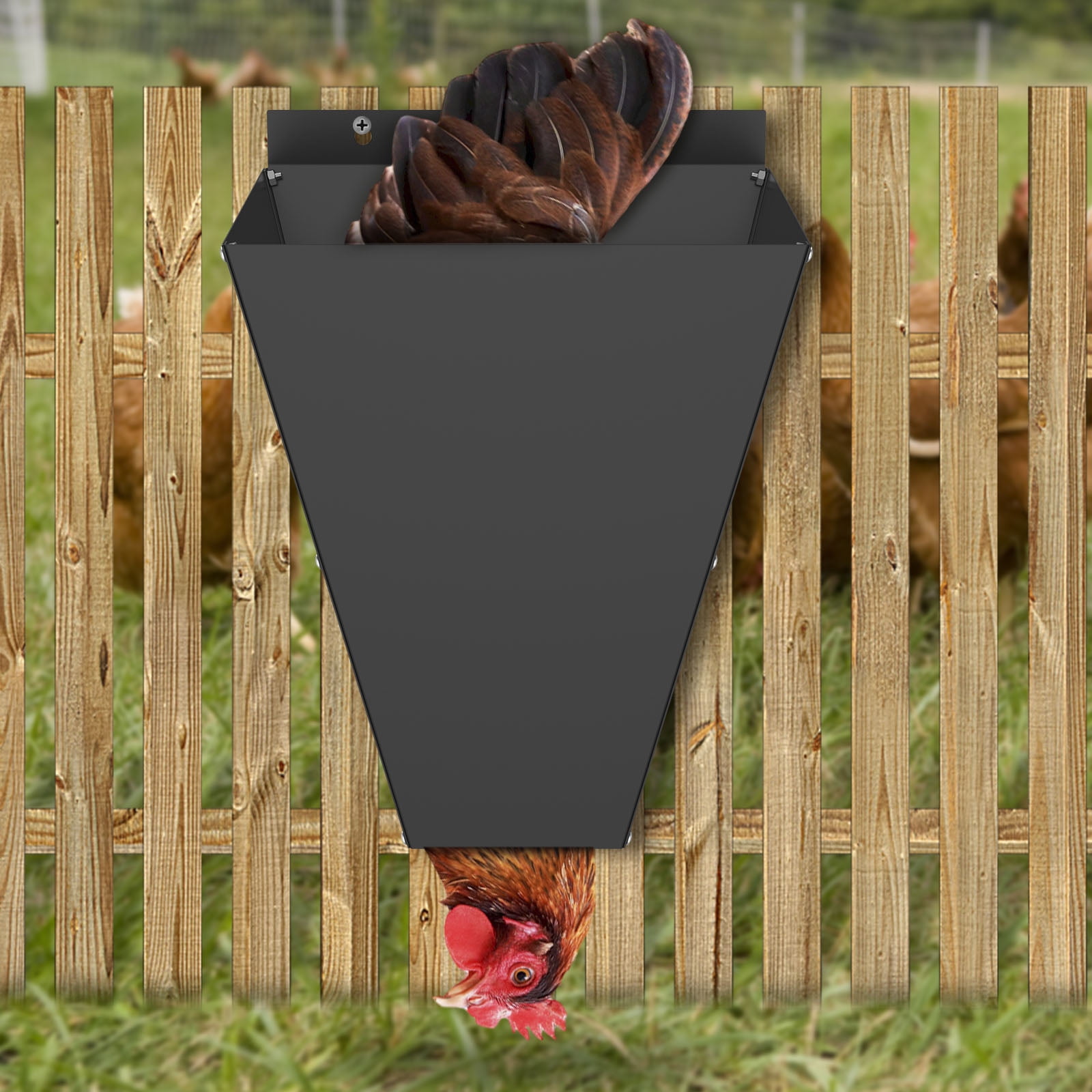 Grusce Chicken Cone Iron Poultry Restraining Cone Reusable Chicken ...