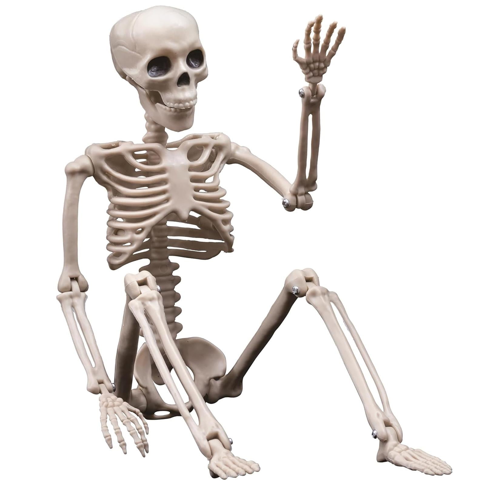 Gs Vane Halloween Decor 40Cm Glow Skeleton Prop with Movable Jaw ...