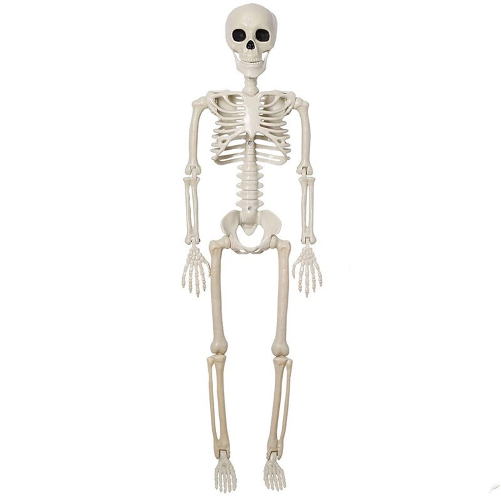 Gs Vane Halloween Decor 90Cm Glow In The Dark Poseable Human Skeleton ...