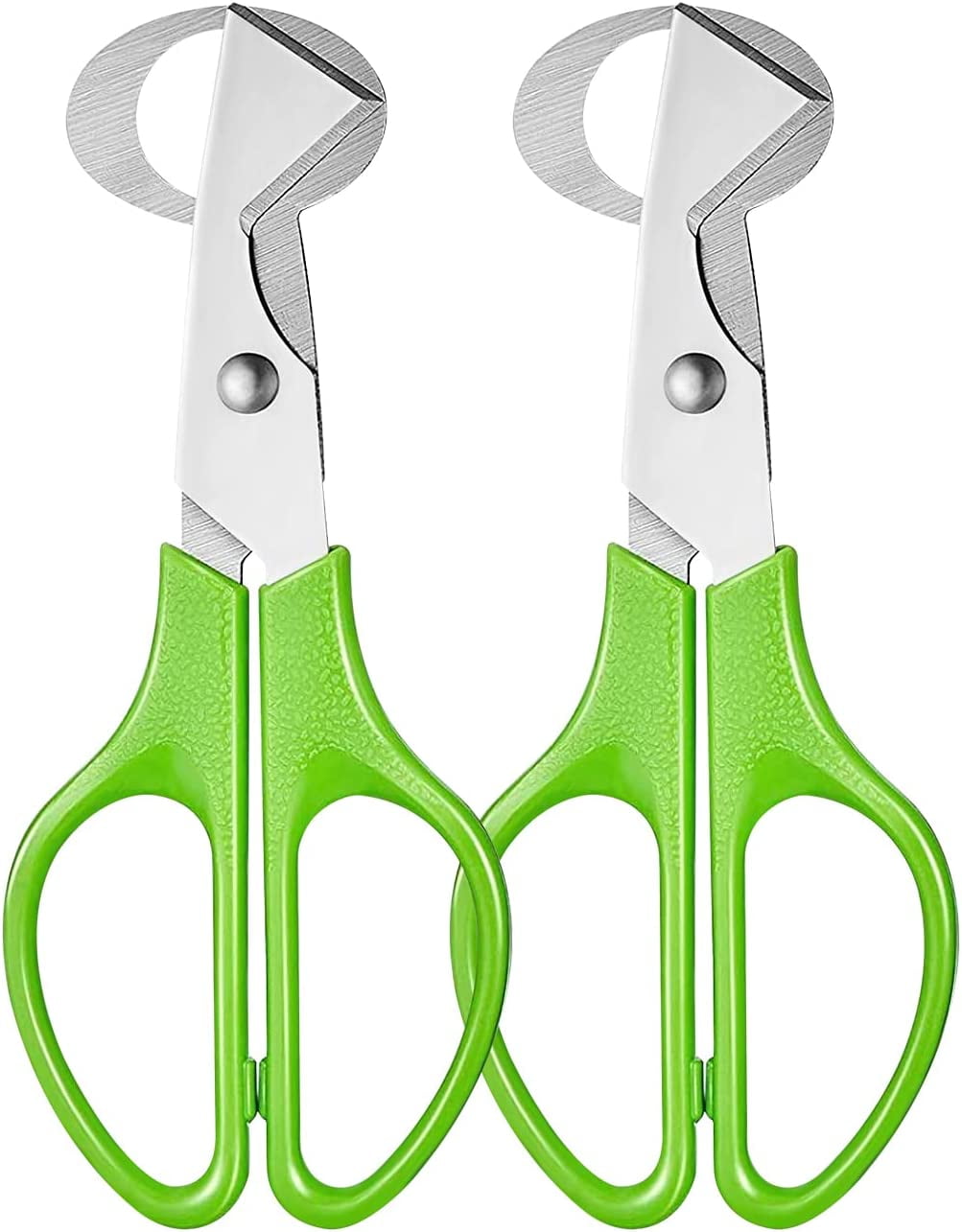 Gseagtia 2 pieces quail egg scissors, stainless steel quail egg ...