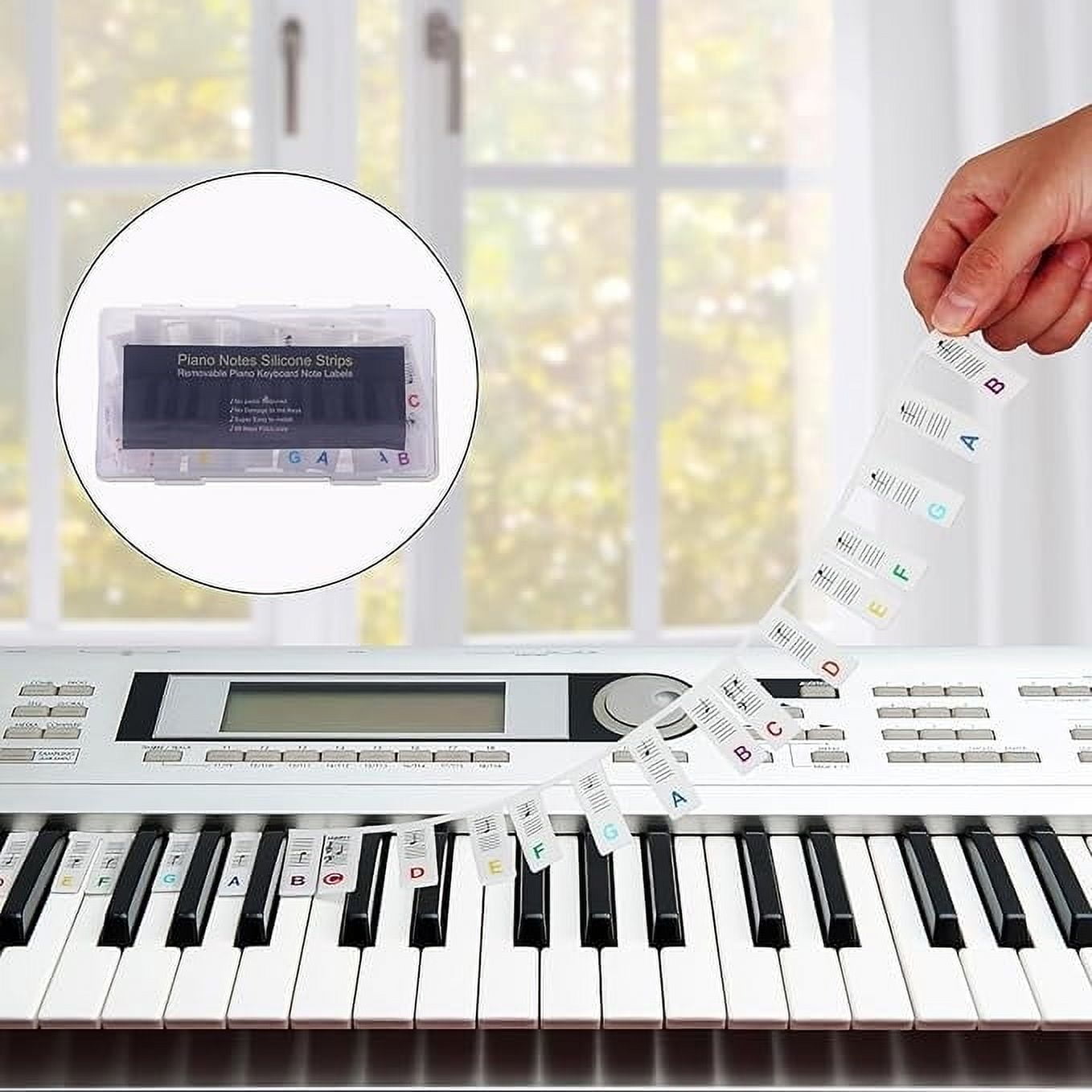 Gspmoly Piano Notes Guide For Beginner Removable Piano Keyboard Note ...