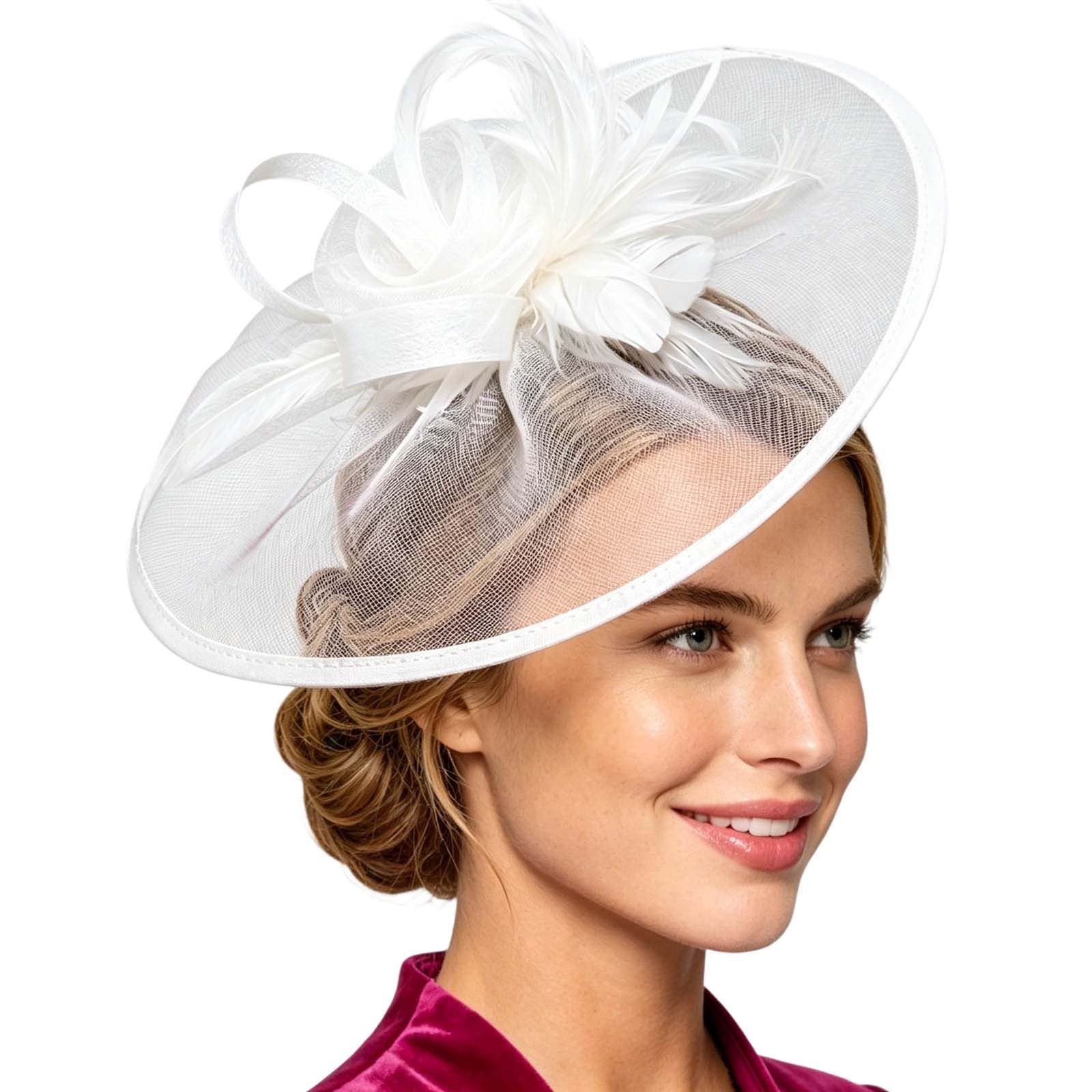 Gtoiithly Loop Netting & Feather Fascinator Hat, Artistic Statement ...